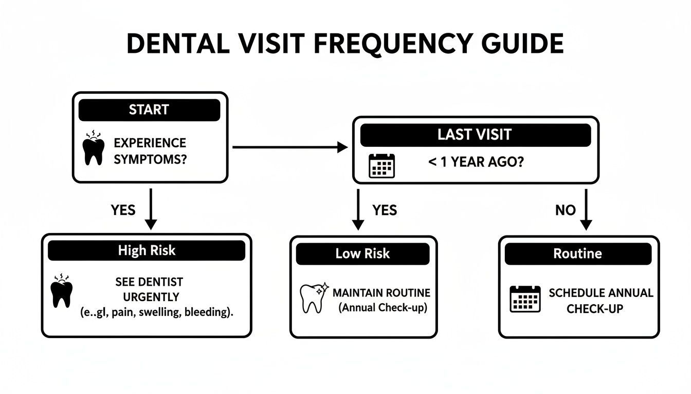 How Often Should You See the Dentist? A Personal Guide to Your Smile